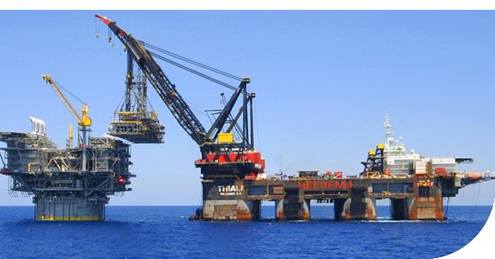 Holstein Platform - Photo